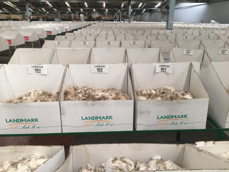 Buyers battle at Australian wool auction as drought cuts